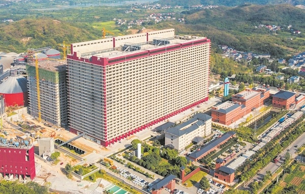 Sties in the sky – life in China’s towering pig farm-Jiemian Global